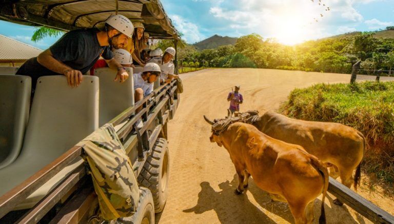 Monkeyland Punta Cana: animal guide for kids
