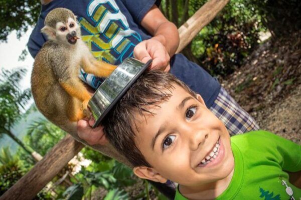 Monkeyland Punta Cana: animal guide for kids